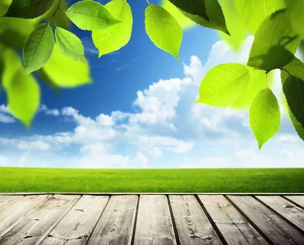 Cup coffee and sunny trees background Stock Photo by ©Iakov 53761391