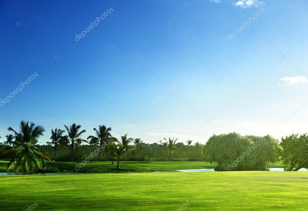 Golf course — Stock Photo © Iakov #35985523