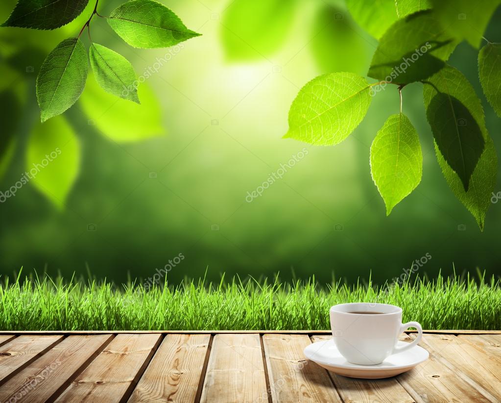 Cup coffee and sunny trees background Stock Photo by ©Iakov 38225919