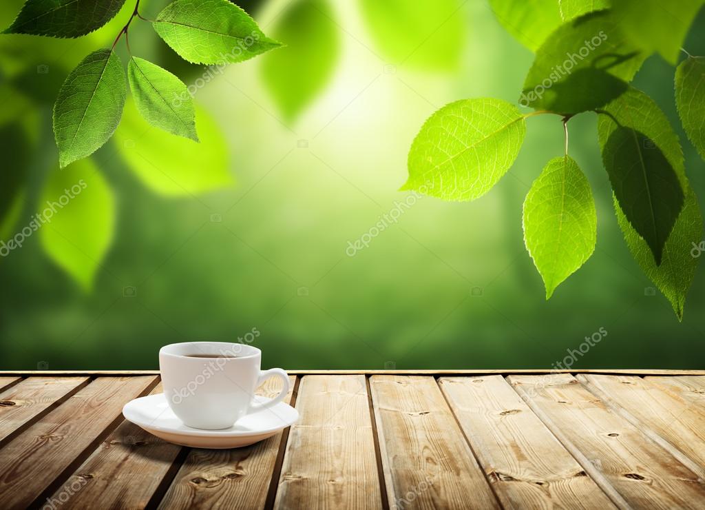 Cup coffee and sunny trees background — Stock Photo © Iakov #38628571