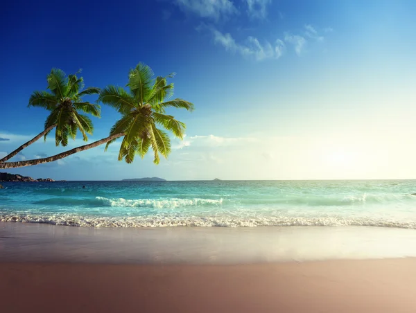 Sunset on Seychelles beach — Stock Photo © Iakov #44958533