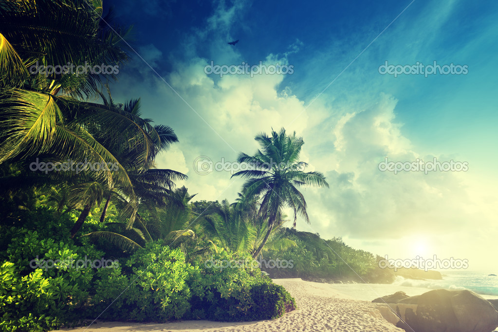 Sunset on Seychelles beach — Stock Photo © Iakov #45360625