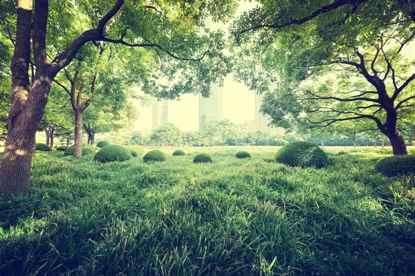 Sunny day in summer park Stock Photo by ©Iakov 51894111
