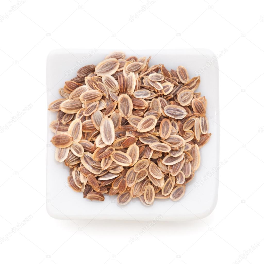Fennel seeds (Anethum graveolens) in a white bowl on white Stock Photo ...