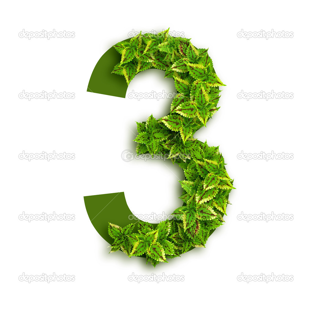 Alfabeto número 3, hecho de hojas — Foto de stock © tingyaso #13280204