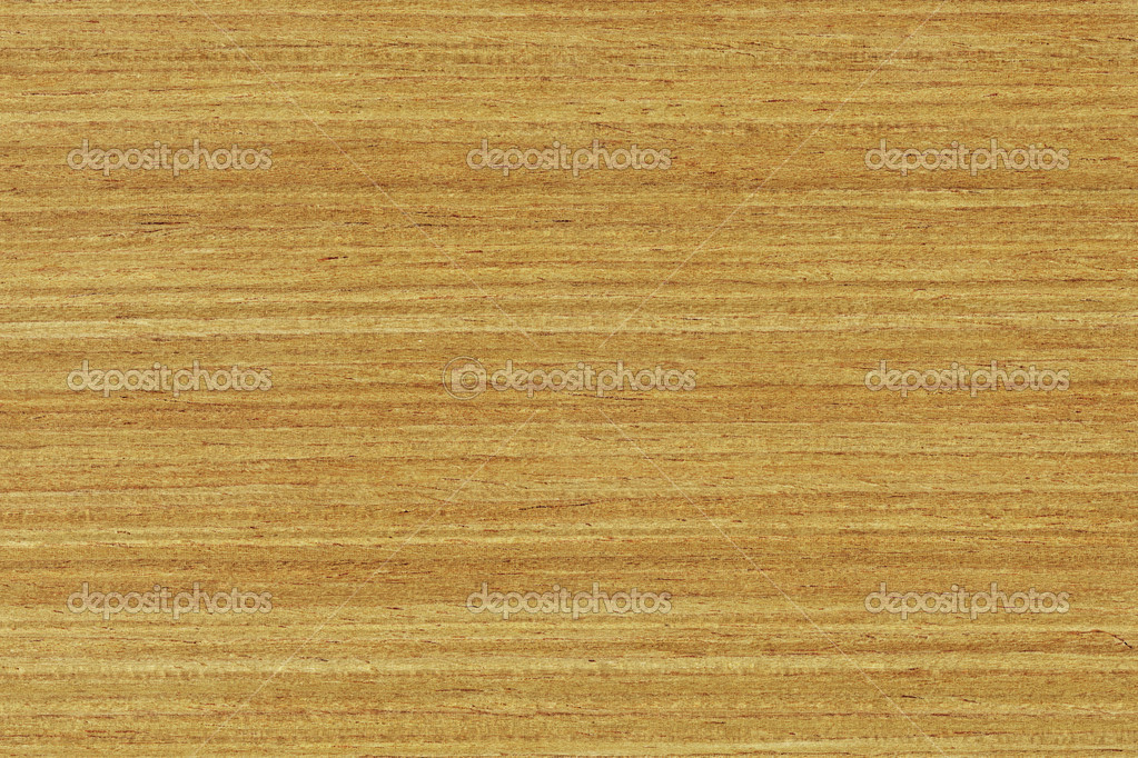 Oak texture | Oak texture wood — Stock Photo © DigitalMagus #45761905