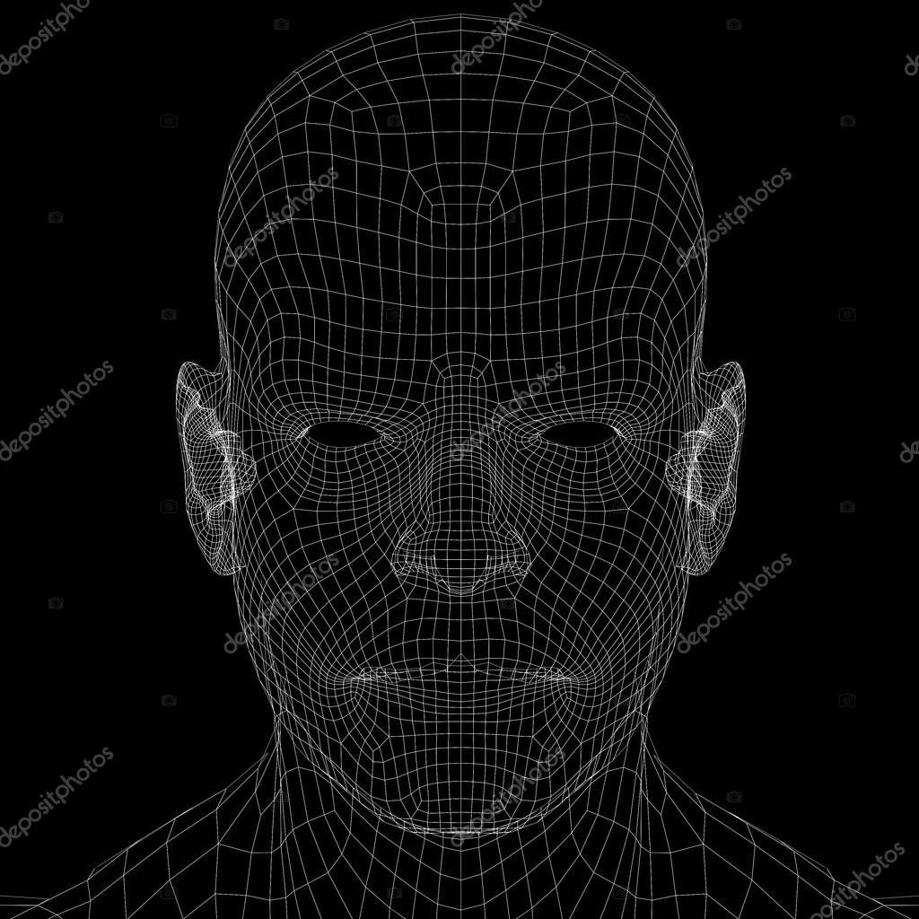 Human head. Wire frame render Stock Photo by ©cherezoff 45121169