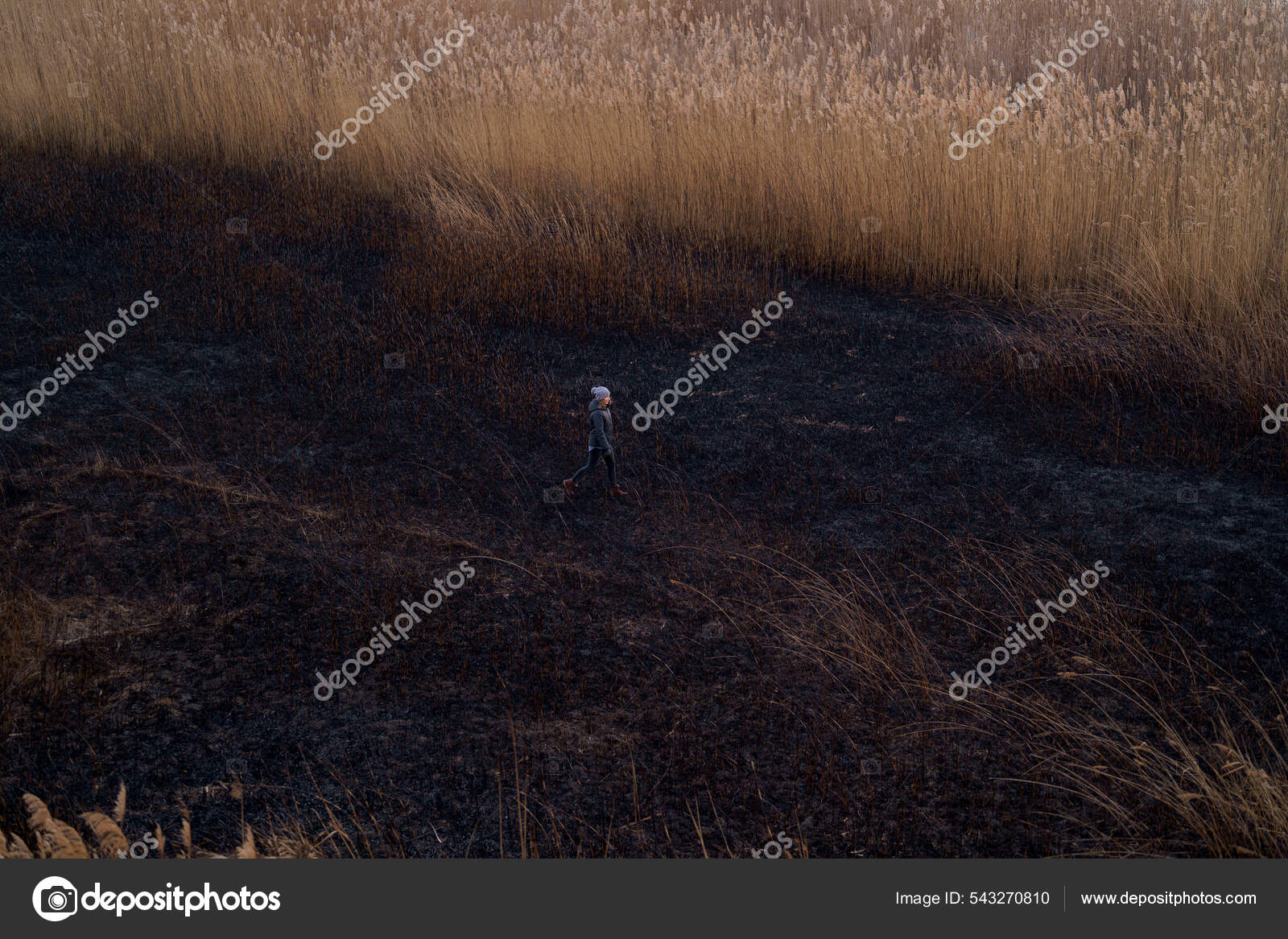 Human influence on the nature Stock Photo by ©arthurhidden 543270810