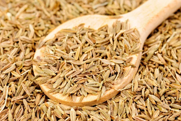 Adas Stock Photos, Royalty Free Adas Images | Depositphotos