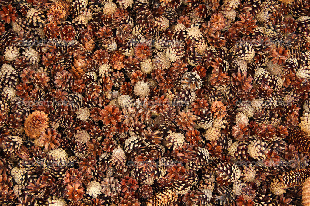 Cones background, mixed cones background — Stock Photo © ARTi19 #30426473