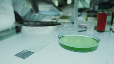 Biology Stock Videos, Royalty Free Biology Footages | Depositphotos®