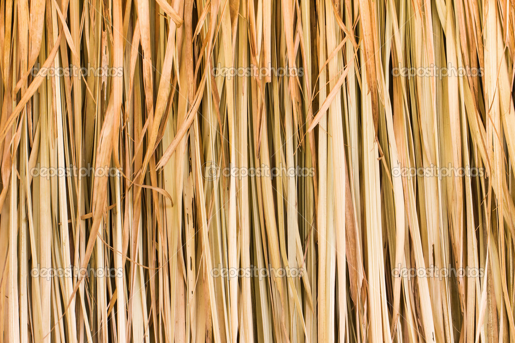 Texture of straw — Stock Photo © stoonn #29011731