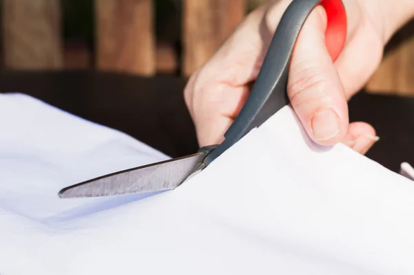 Hand cut Images - Search Images on Everypixel