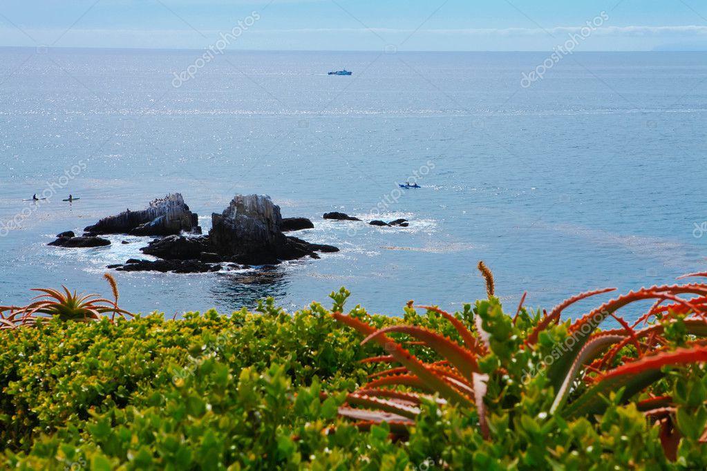 Ocean view. Laguna Beach Stock Photo by ©iriana88w 46063575