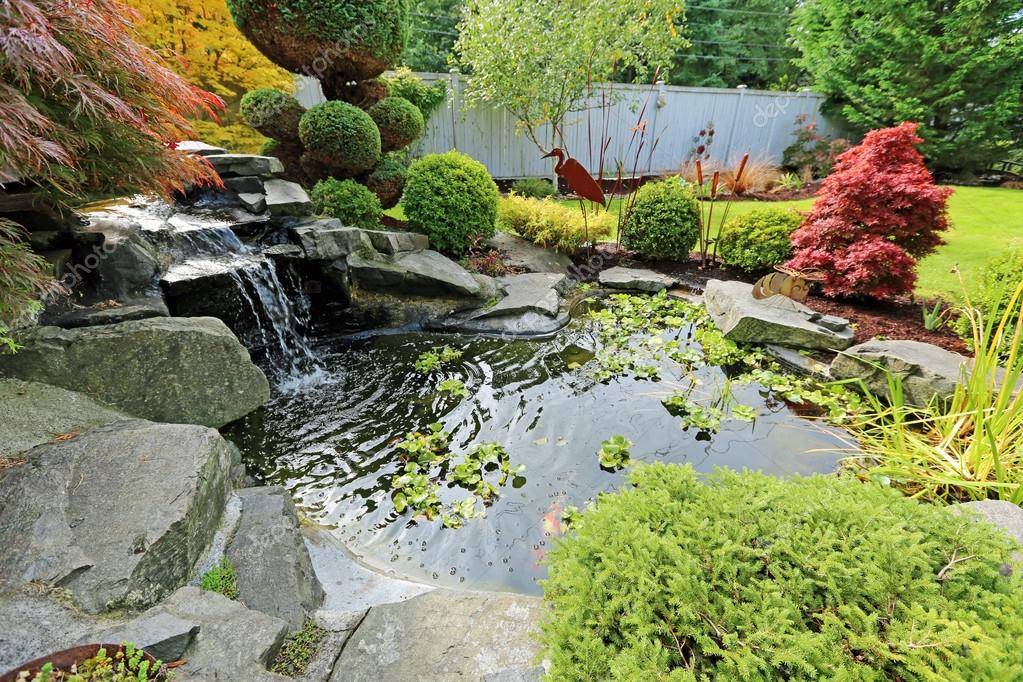 Home tropical garden with pond Stock Photo by ©iriana88w 49034651