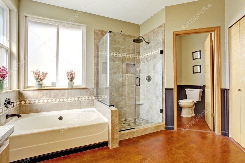 Bathroom interior — Stock Photo © iriana88w #50891043