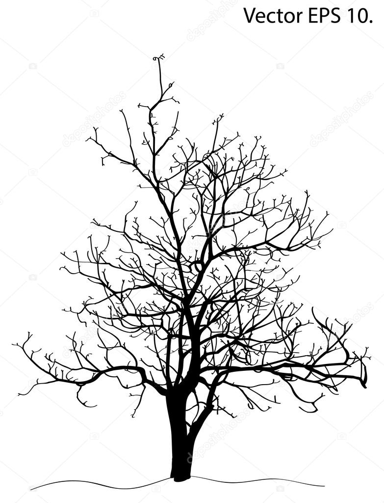 Dead Tree without Leaves Vector Illustration Sketched, EPS 10. ⬇ Vector ... Dead Tree without Leaves Vector Illustration Sketched, EPS 10. ⬇ Vector ...