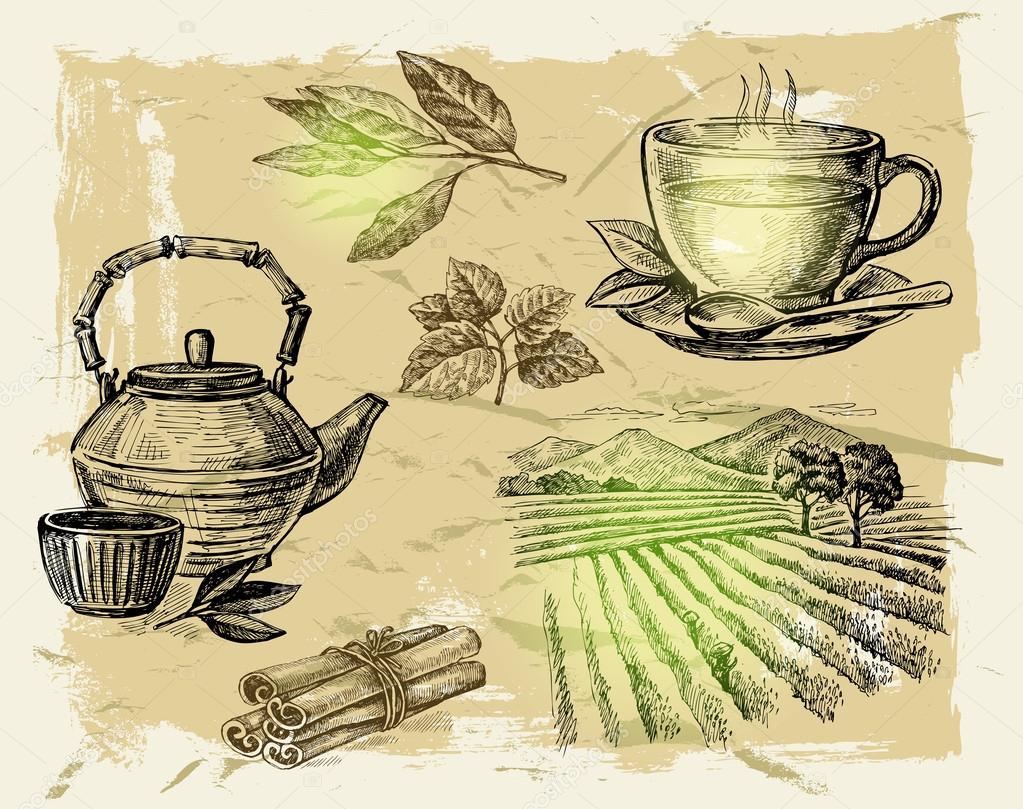 Hand drawn tea Stock Vector Image by ©bioraven #47626889