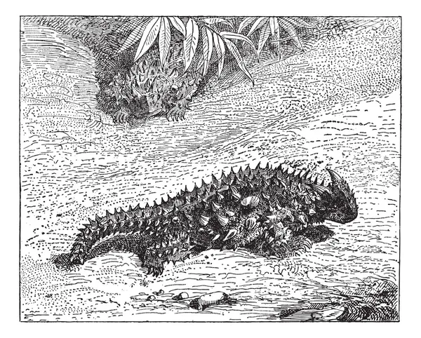 Moloch Vector Art Stock Images | Depositphotos