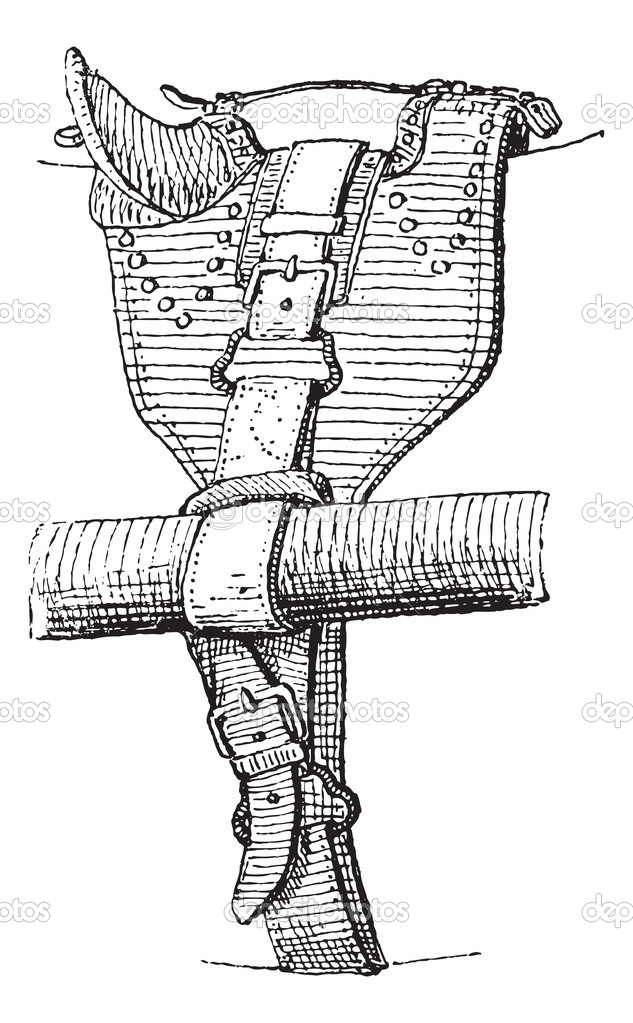 Cinch or Girth, vintage engraving. Stock Vector Image by ©Morphart ...