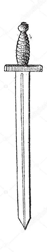 Spatha, vintage engraving. — Stock Vector © Morphart #13665887