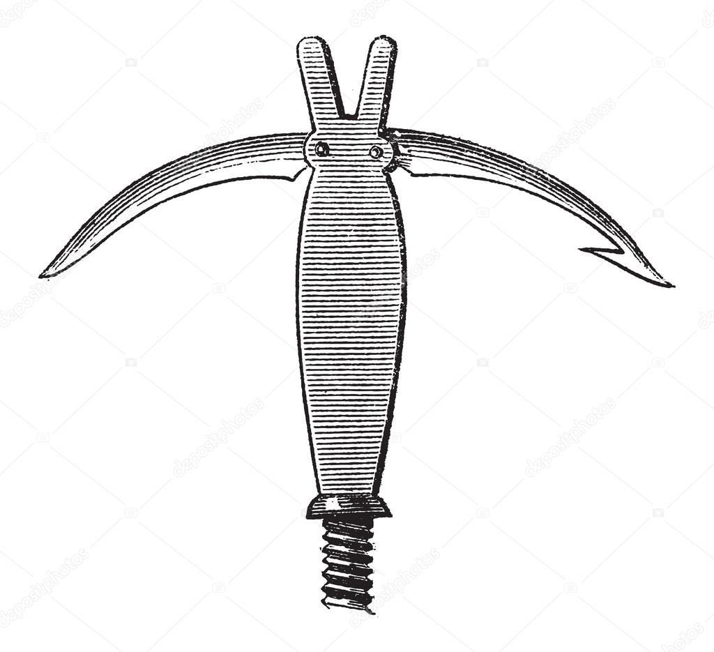 Billhook, vintage engraving Stock Vector Image by ©Morphart #23007032