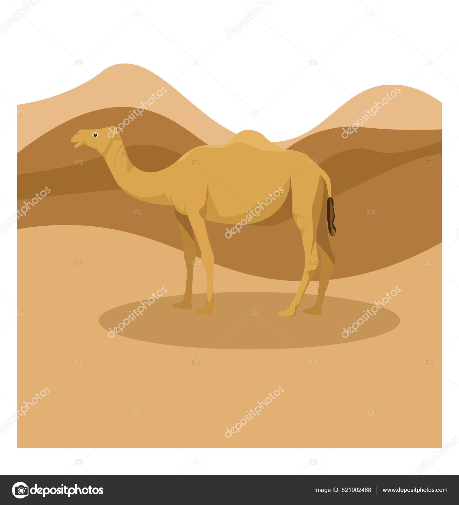 Camel Sand Illustration Vector White Background Stock Vector by ...