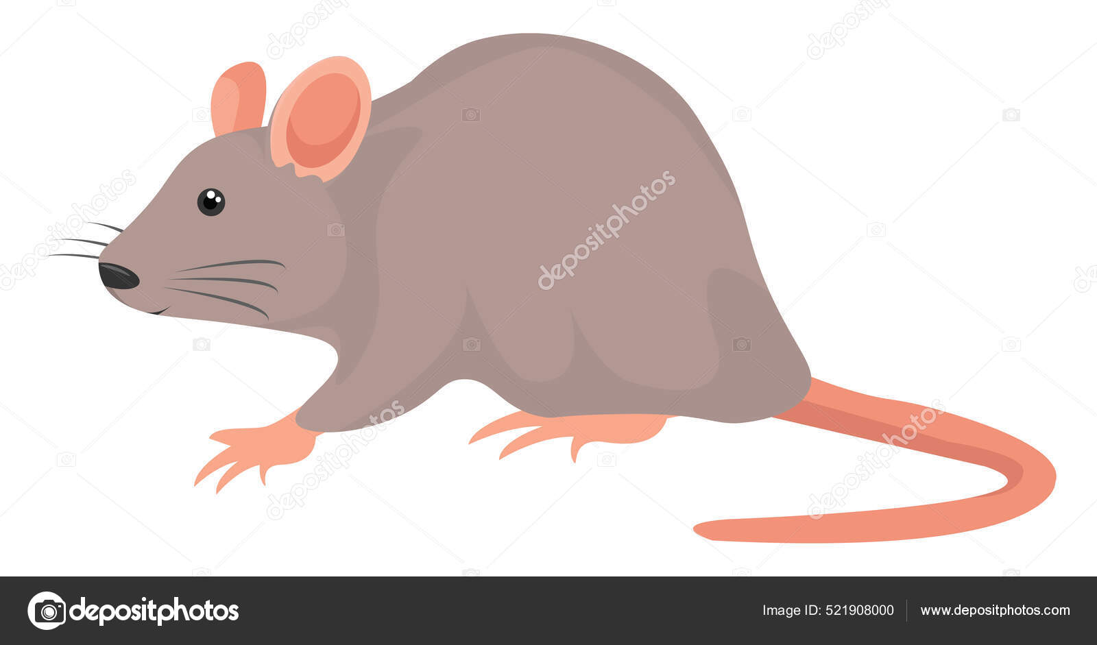 Grey Rat Illustration Vector White Background Stock Vector by ©Morphart ...