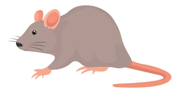Drowned Rat Clipart Rodents