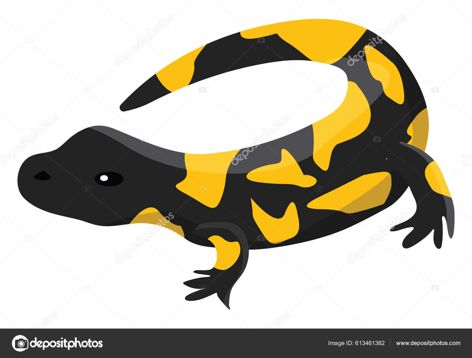 Salamander Cartoon Clipart Party