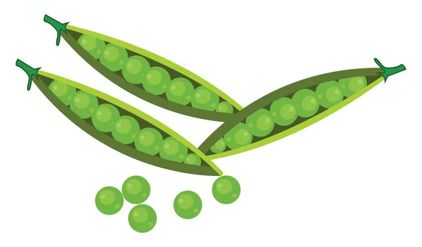 21,888,495 Greenhouse pea Vector Images | Depositphotos