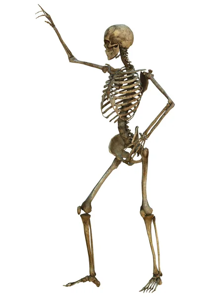 Crouching skeleton — Stock Photo © homeworks255 #10197963