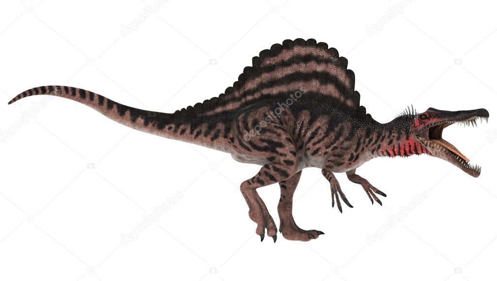 Dinosaur Spinosaurus ⬇ Stock Photo, Image by © PhotosVac #40546431