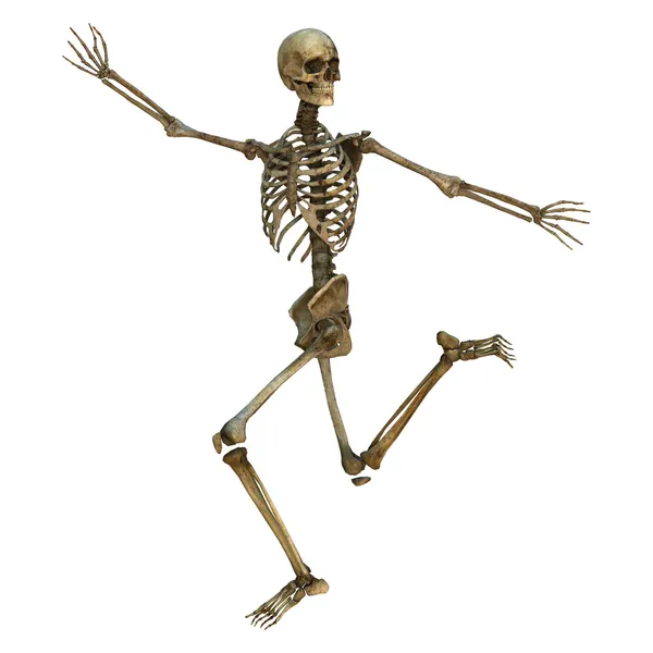 Crouching skeleton — Stock Photo © homeworks255 #10197963
