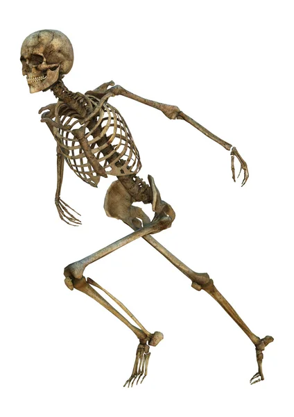 Crouching skeleton — Stock Photo © homeworks255 #10197963