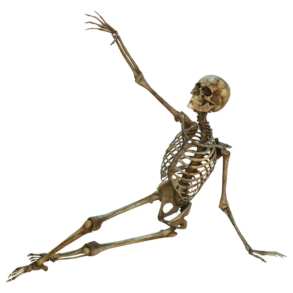 Crouching skeleton — Stock Photo © homeworks255 #10197963