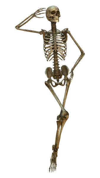 Happy skeleton Stock Photos, Royalty Free Happy skeleton Images ...