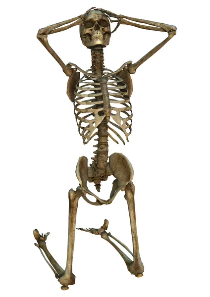Scary skeleton Stock Photos, Royalty Free Scary skeleton Images ...