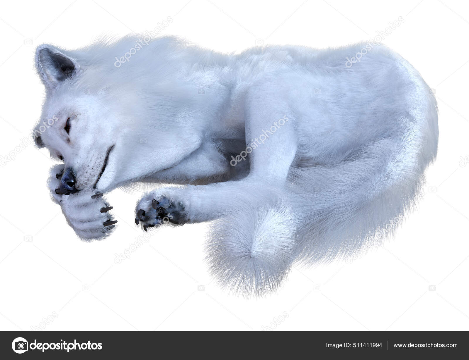 Rendering Arctic Wolf Isolated White Background — Stock Photo ...