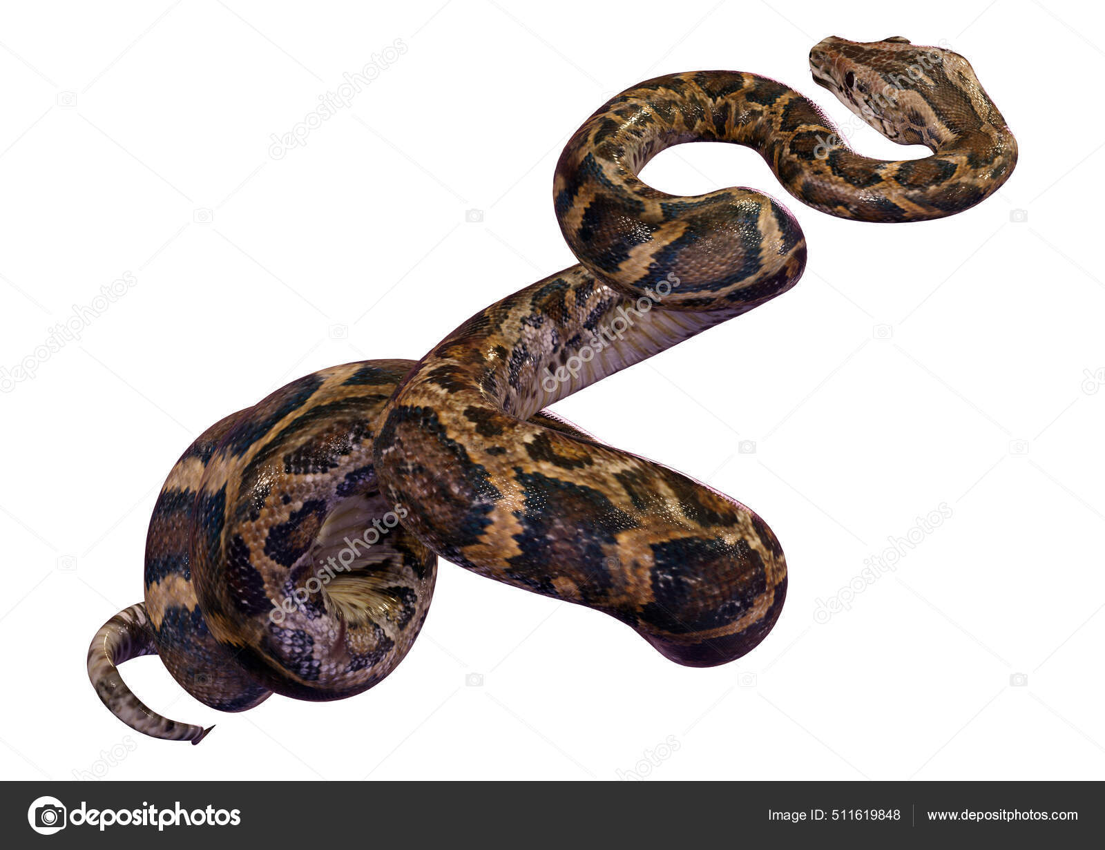 Representación Una Pitón Birmana Python Bivittatus Una Las Serpientes ...