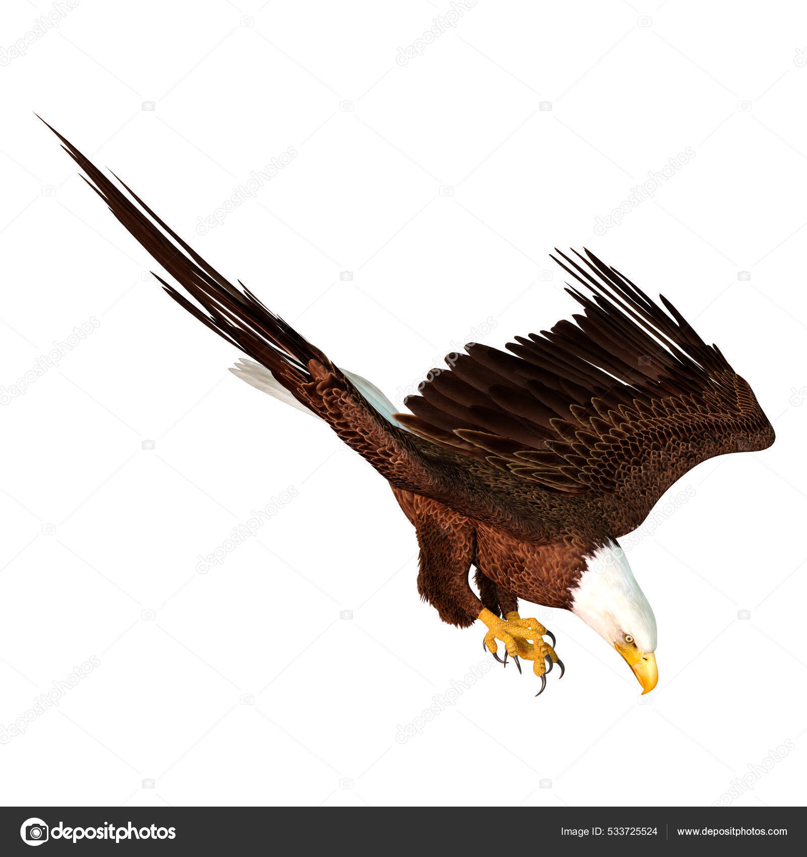 Rendering Bald Eagle Isolated White Background Stock Photo by ...