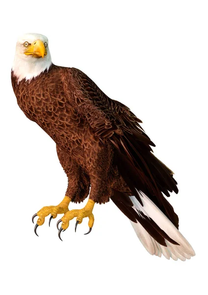 Clipart Free Eagle
