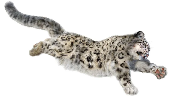 Apex predator Stock Photos, Royalty Free Apex predator Images ...