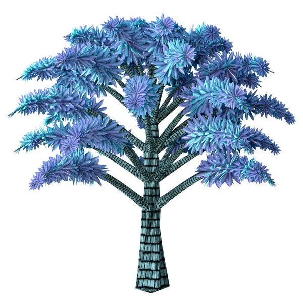 Australian ti tree Stock Photos, Royalty Free Australian ti tree Images ...