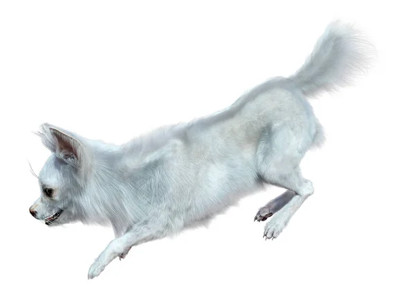 Invertido de perro Stock Photos, Royalty Free Invertido de perro Images ...