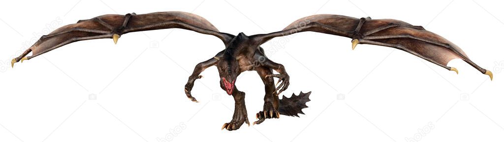 Zygodactyl foot Stock Photos, Royalty Free Zygodactyl foot Images ...
