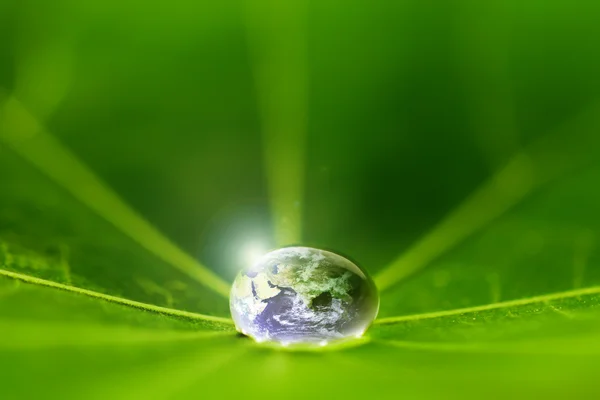The world in a drop of water Stock Photo by ©yellow2j 29431917