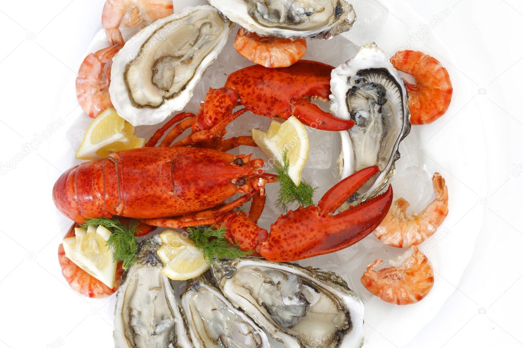 Fresh seafood Stock Photo by ©yellow2j 32772931