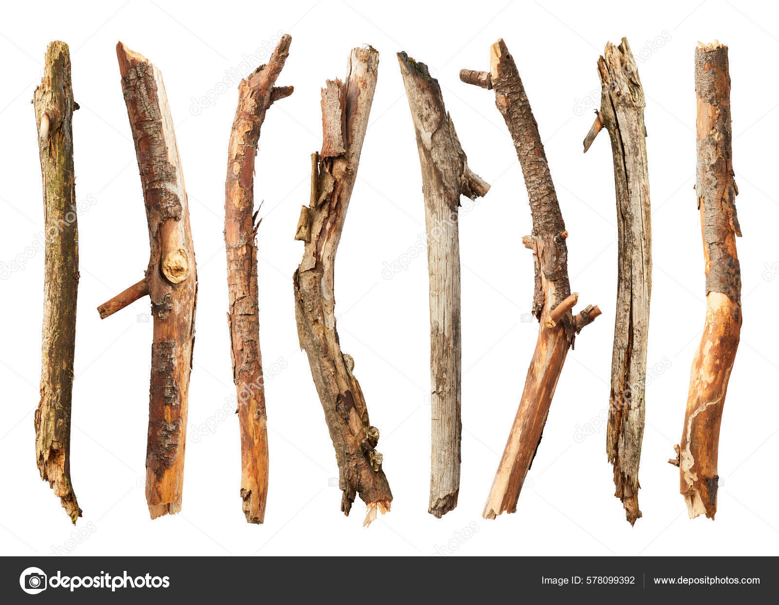 Tree Sticks Isolated White Background — Stock Photo © Nik_Merkulov ...