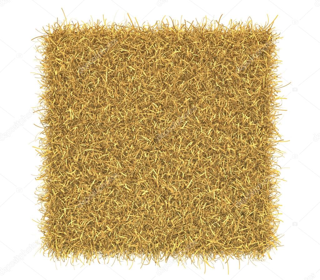 Hay bale isolated on white background — Stock Photo © gearstd #46670679
